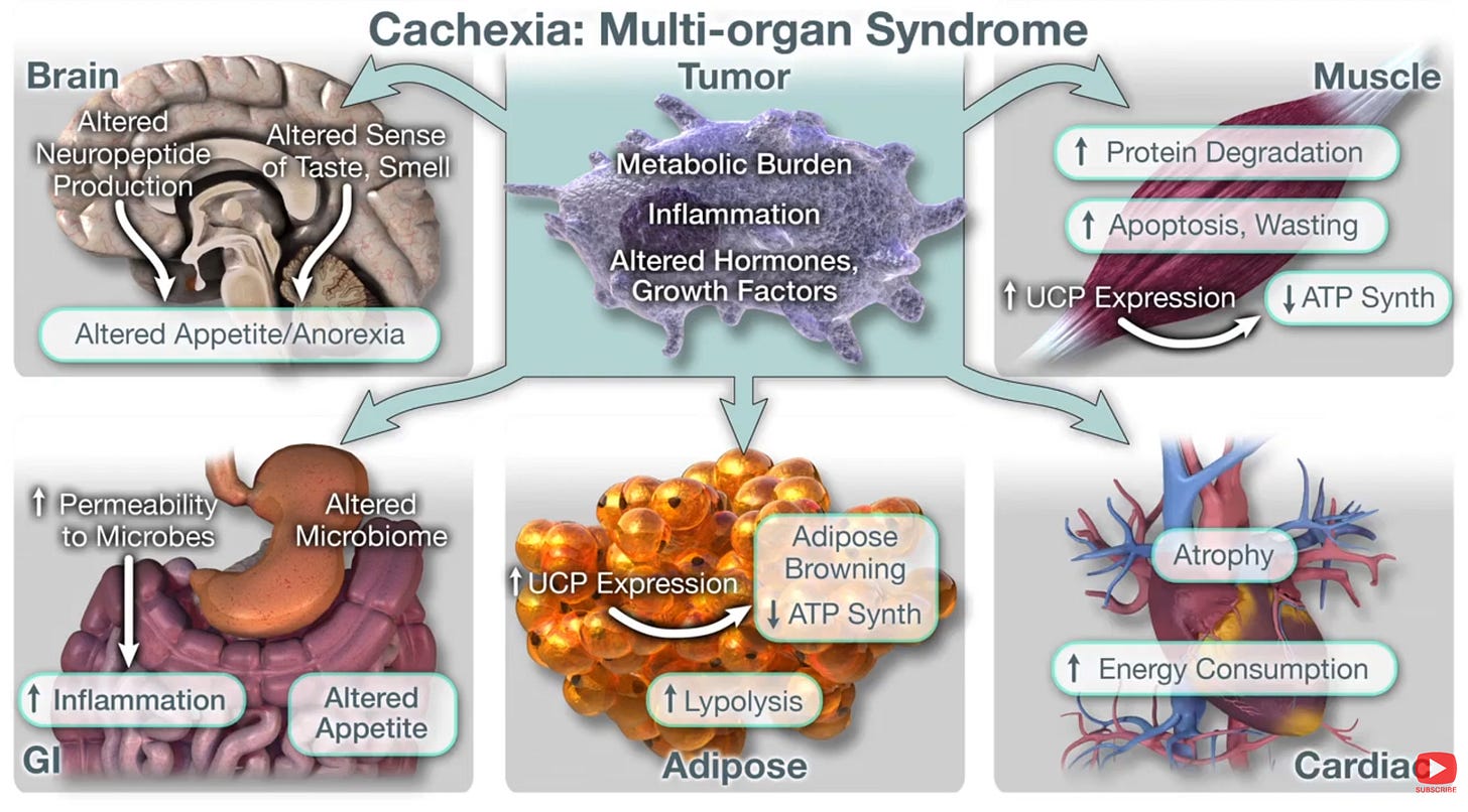 The Spike Protein FUNCTIONS AS A “MICROTUMOR”: Instantaneous ...