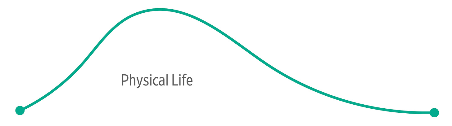 A Tale of Two Curves: Physical Life vs. Economic Life | Economics