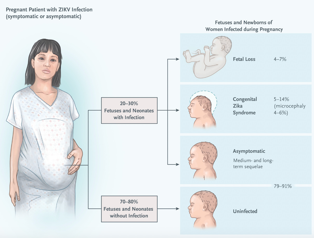 #9: The power of challenge trials - by Saloni Dattani
