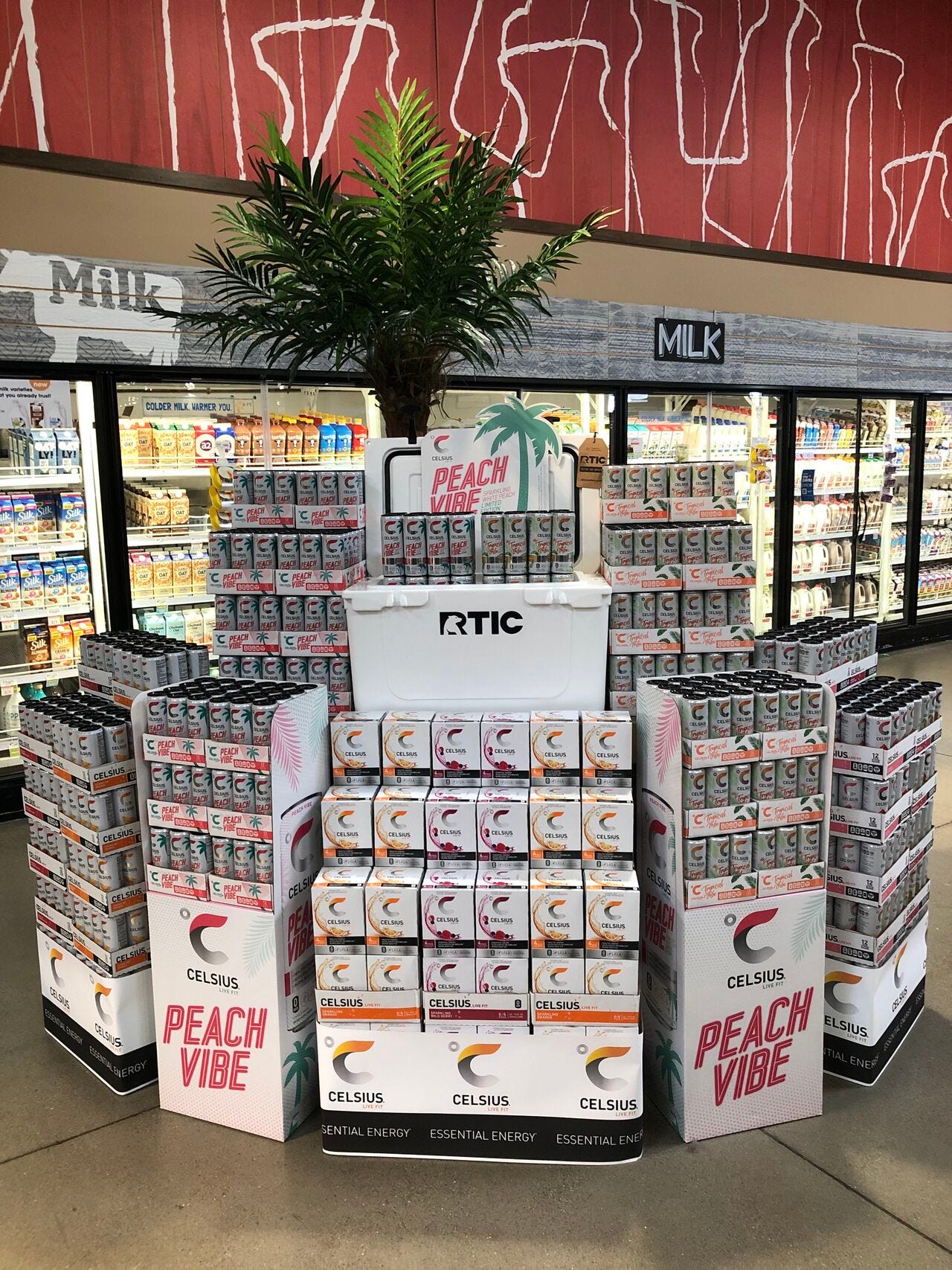 Celsius Holdings: An Incredible Turnaround Story