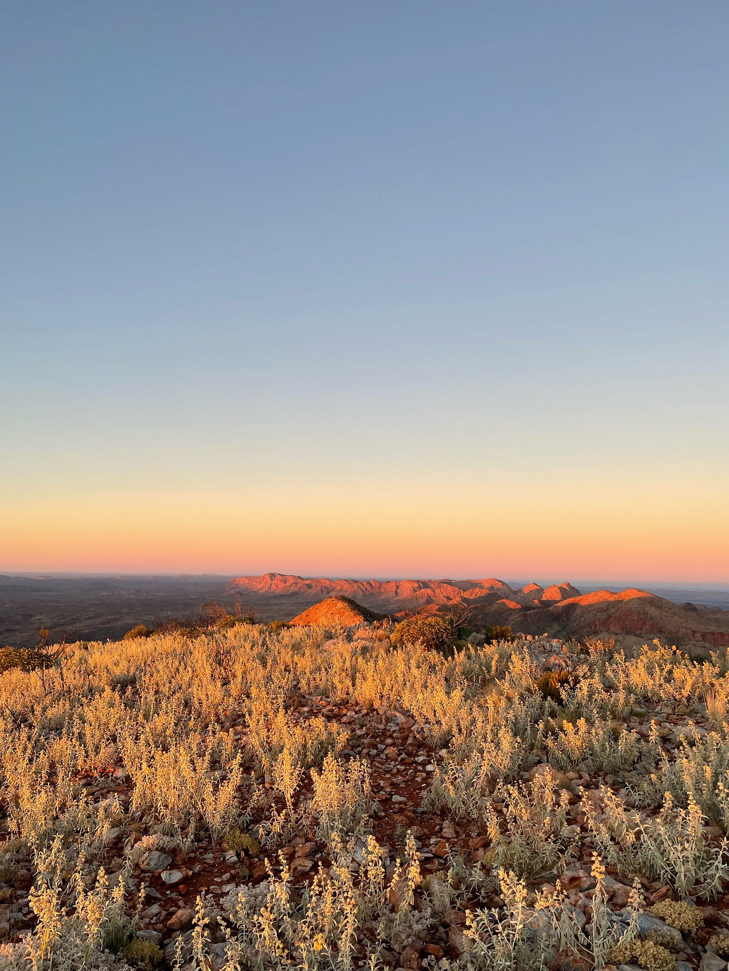 The Sit Spot | Maggie Mackellar | Substack
