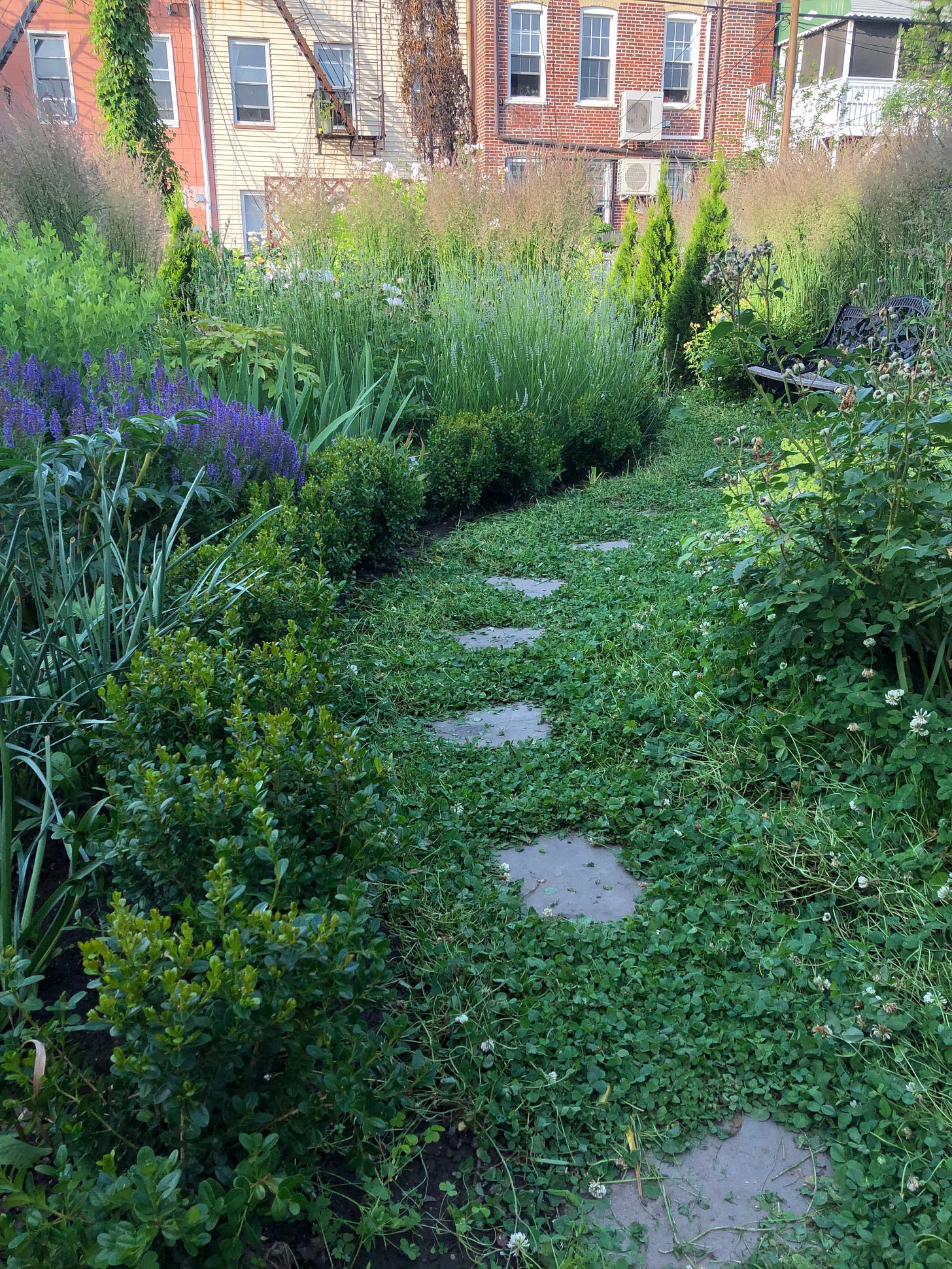 All About The Garden Path - by Steve - Chain Link Garden