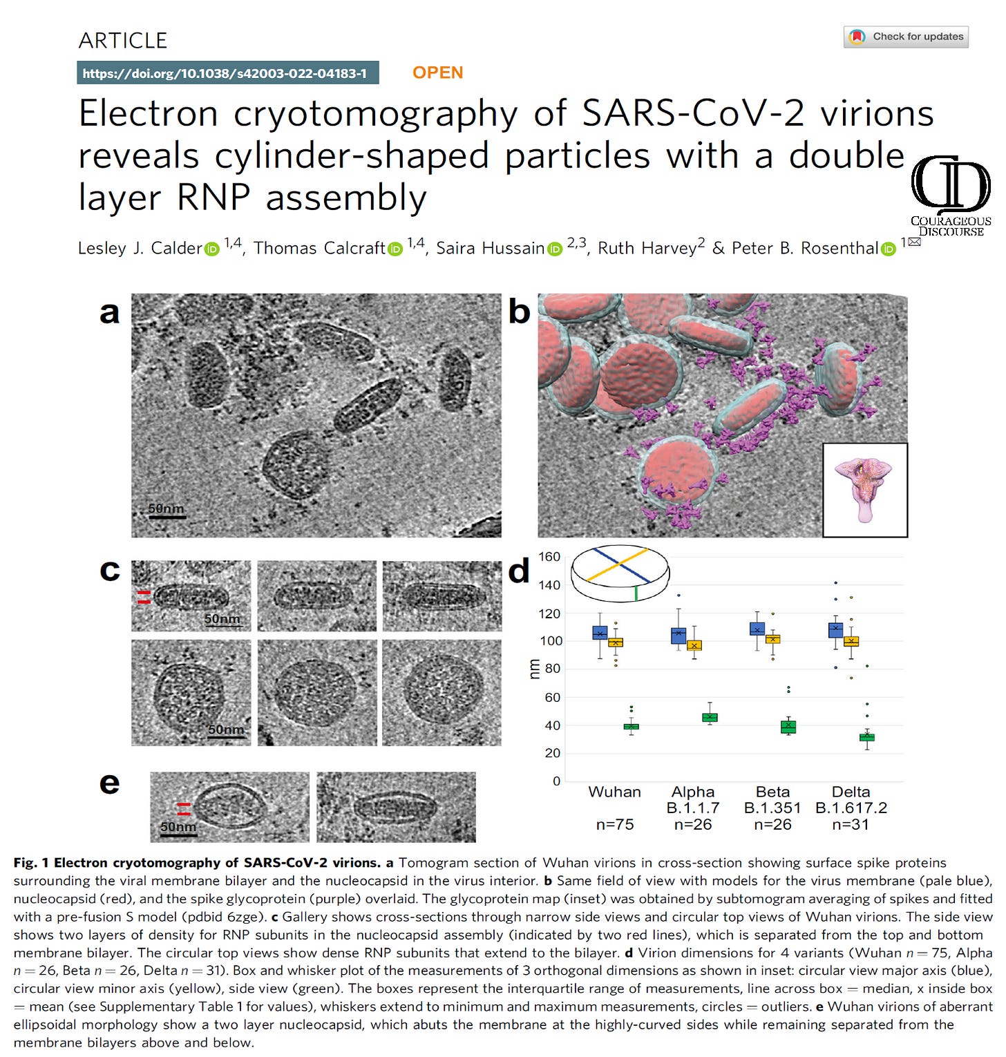 Electron Cryotomography of SARS-CoV-2 Virions