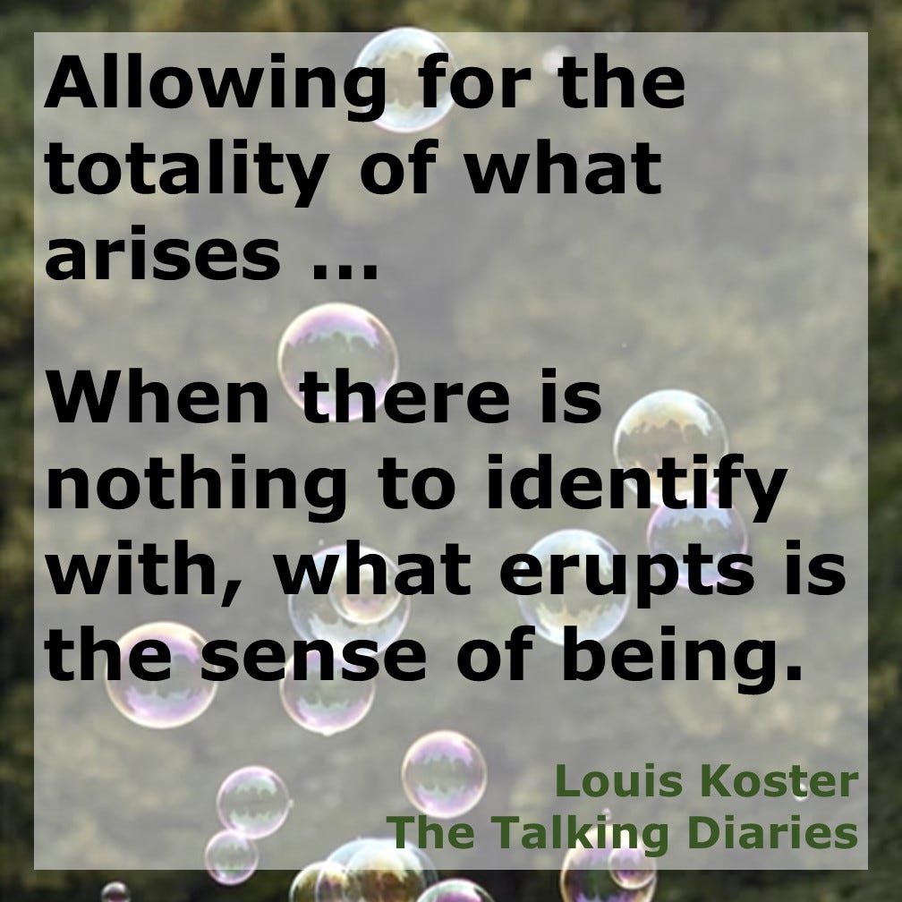 Louis Koster: The Talking Diaries - by John Kremer