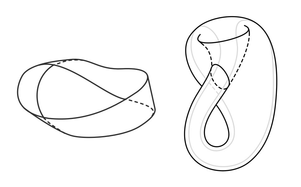 The Poincaré Conjecture - by Jørgen Veisdal - Privatdozent