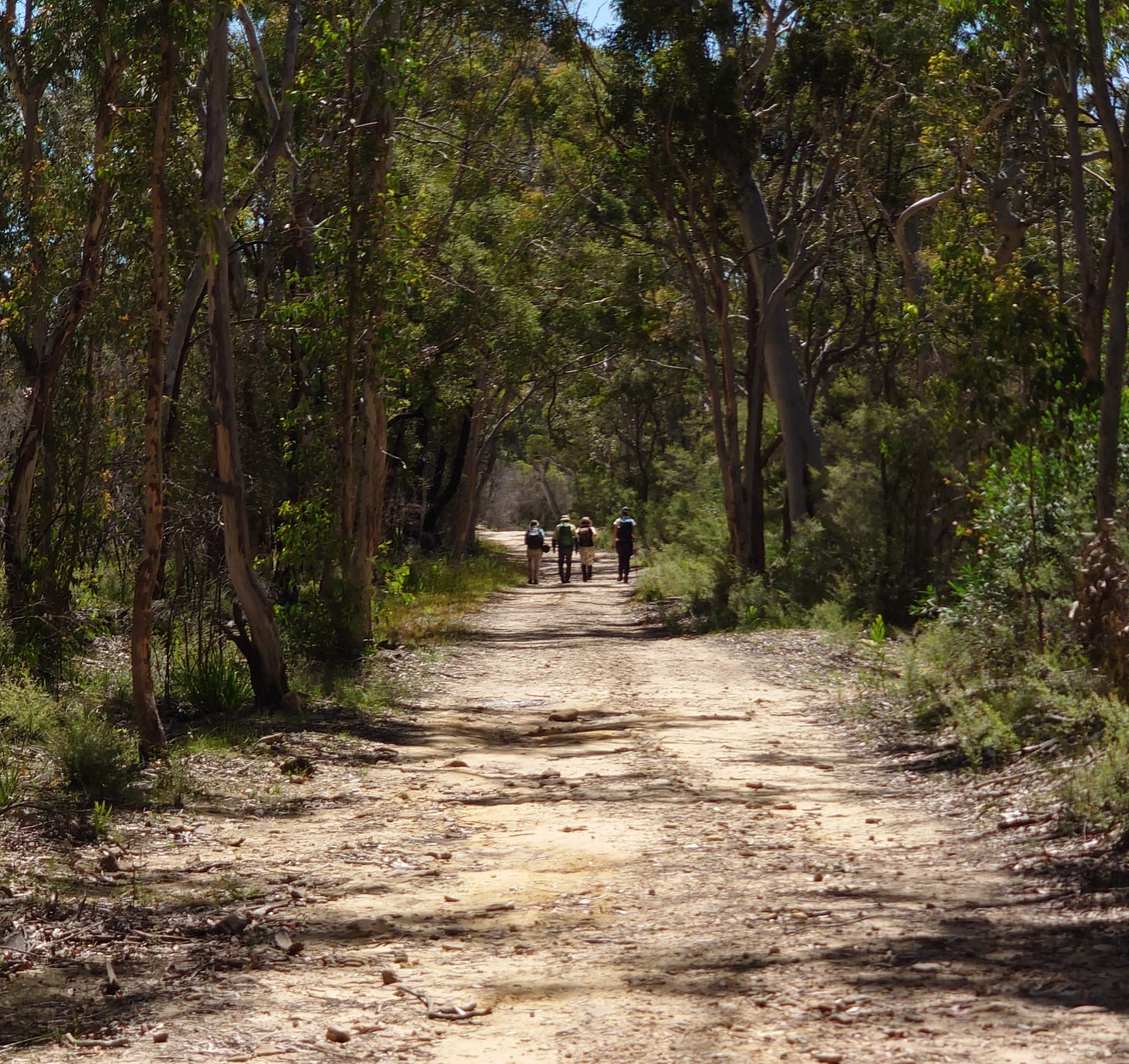 Confessions of a (Digital) Archaeologist - by Penny Crook