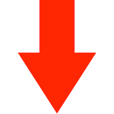 PANDEMIC TREATY - James Roguski