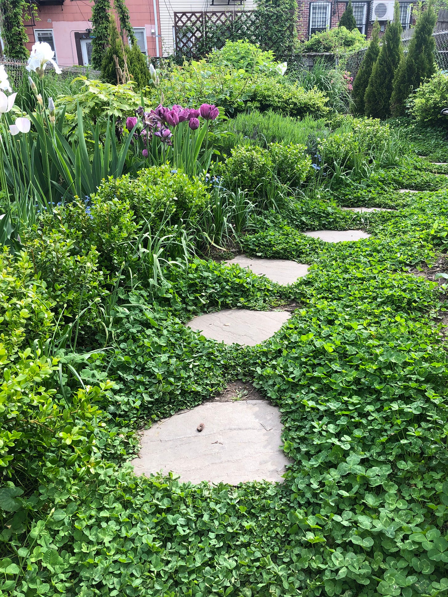 All About The Garden Path - by Steve - Chain Link Garden