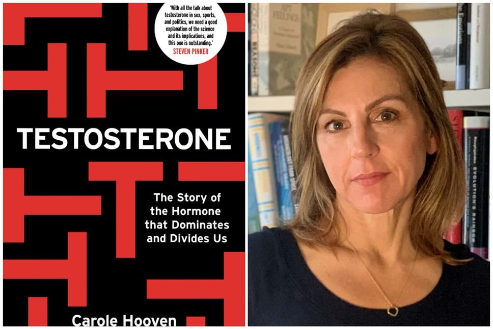 Carole Hooven: let's talk about testosterone