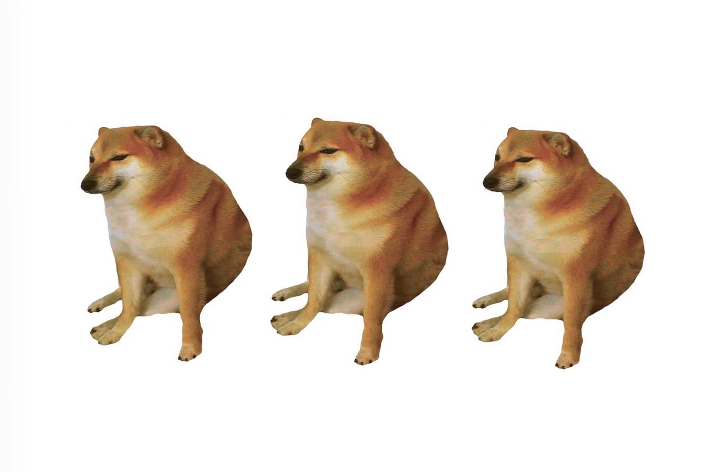 In-group Cheems - by Keir Bradwell - Present Discontents