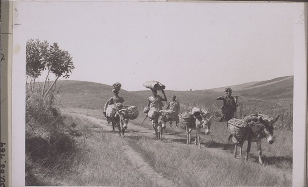 The creation of an African lingua franca: the Hausa trading diaspora in ...