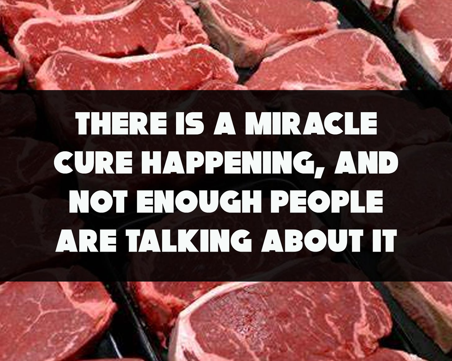 Carnivore Diet - Harvard Study Shows 95% Improved Overall Health ...