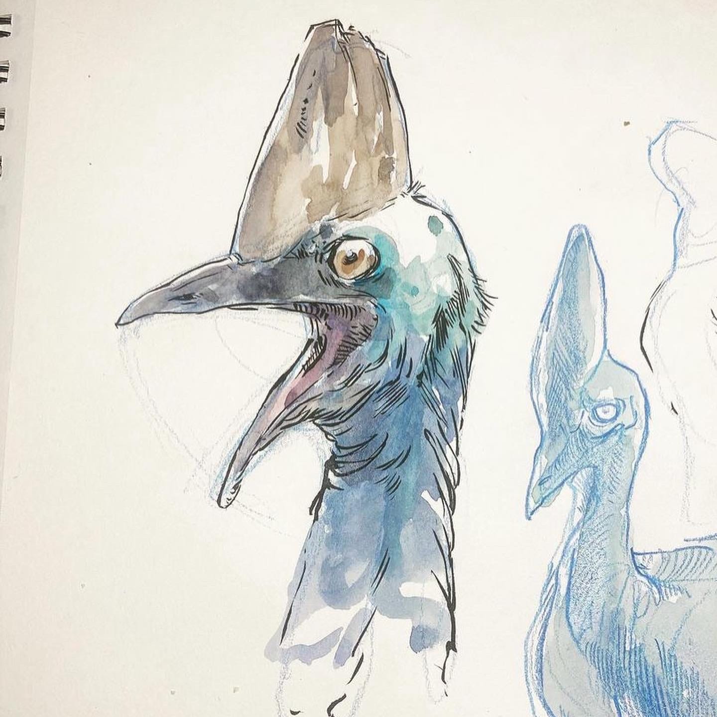 The Inktober Newsletter | Substack