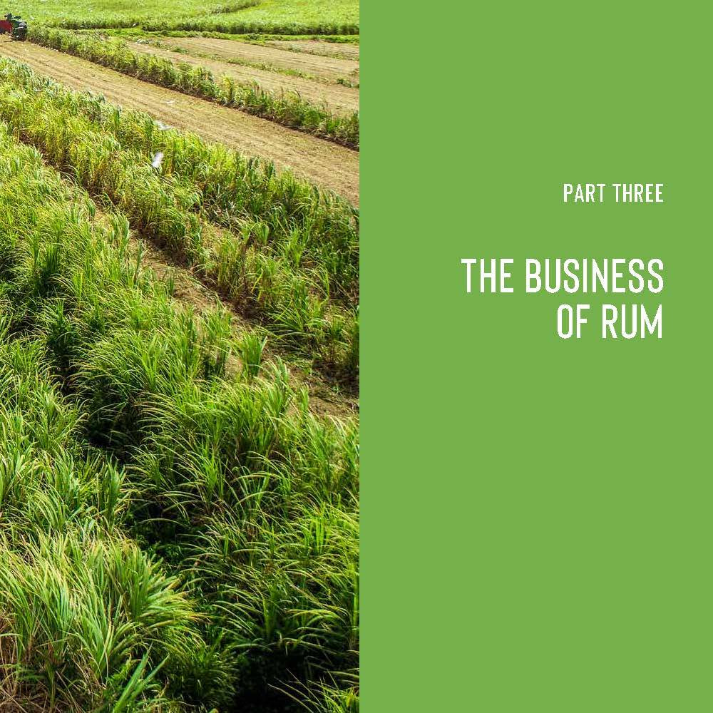 First Look - Inside the Modern Caribbean Rum Book