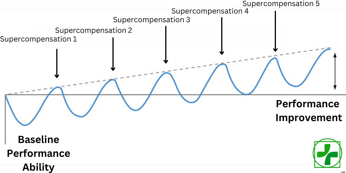 Program Design for Sport - by Trainer 01 - Train Like a Pro