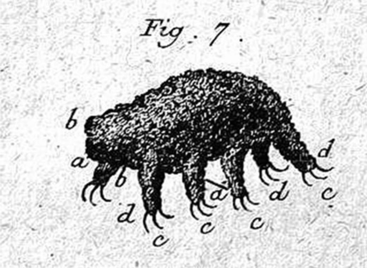 🚀 ¿Cómo viaja un tardígrado? - by Antonio Martínez Ron