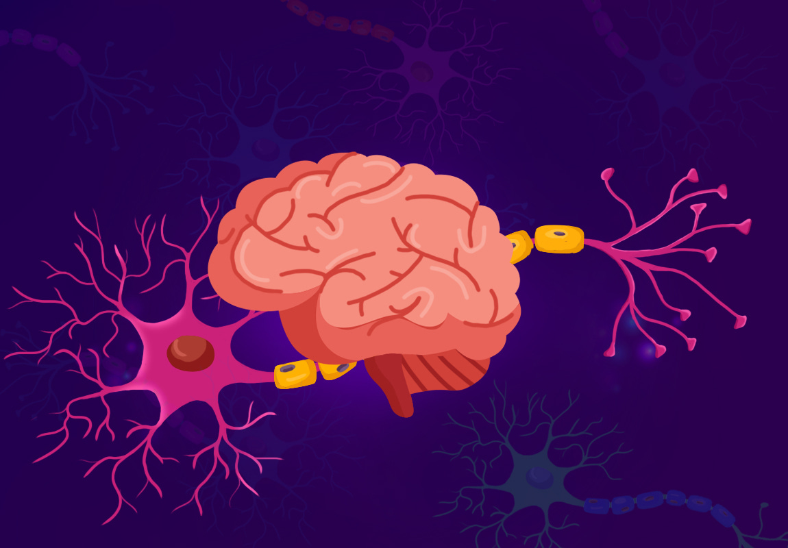 Educational Neuroscience: Benefits, challenges and myths