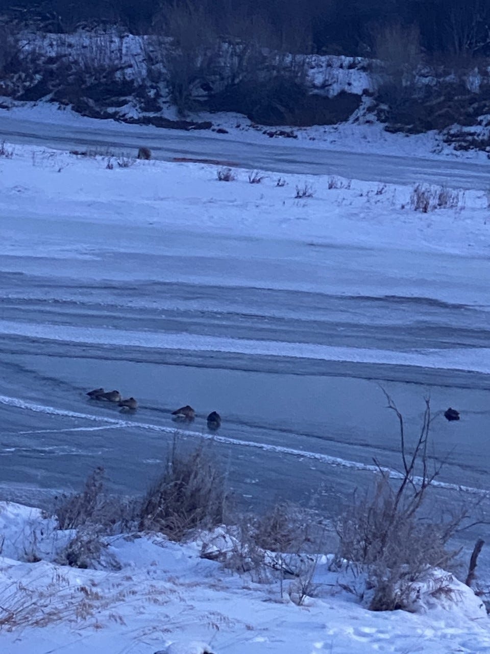 Field Notes - by Monte Solberg - Wonderstruck