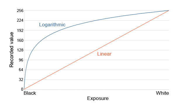 Log Linear Model - by BowTied_Raptor