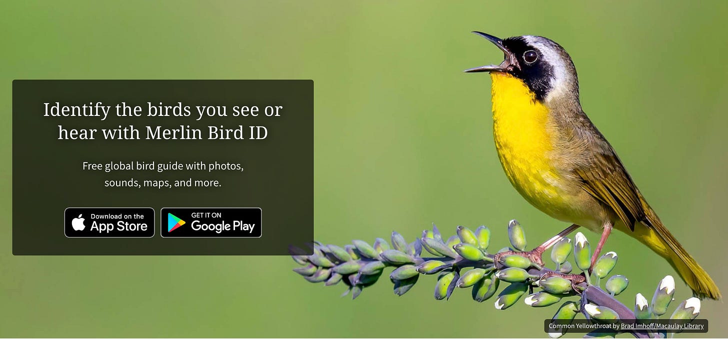 Nature for newbies 🦜🍃 - by Jeremy Caplan - Wonder Tools