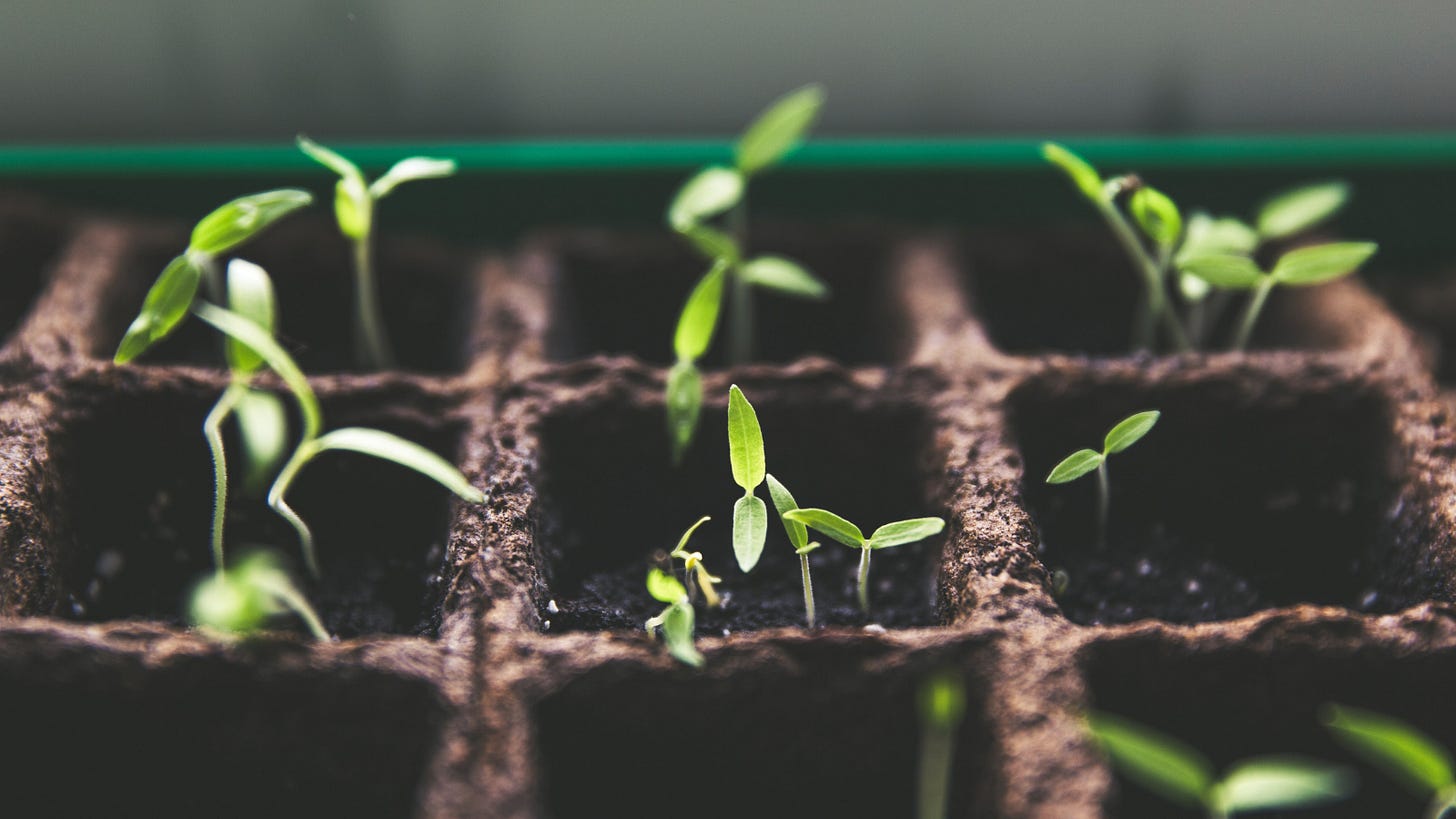 Growing together: What's the key to a successful learning community?