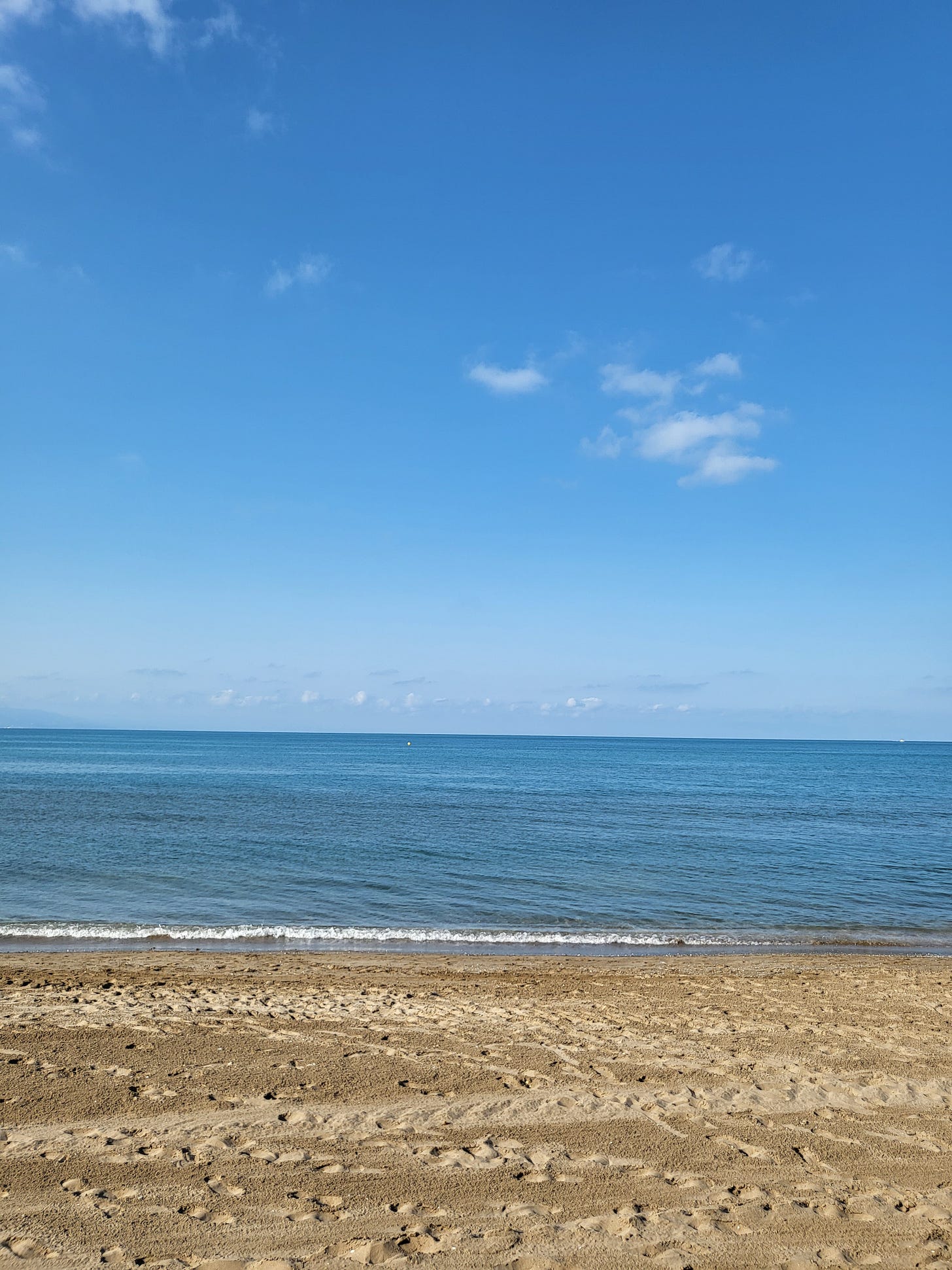 Leer por leer | Amaya Ascunce | Substack