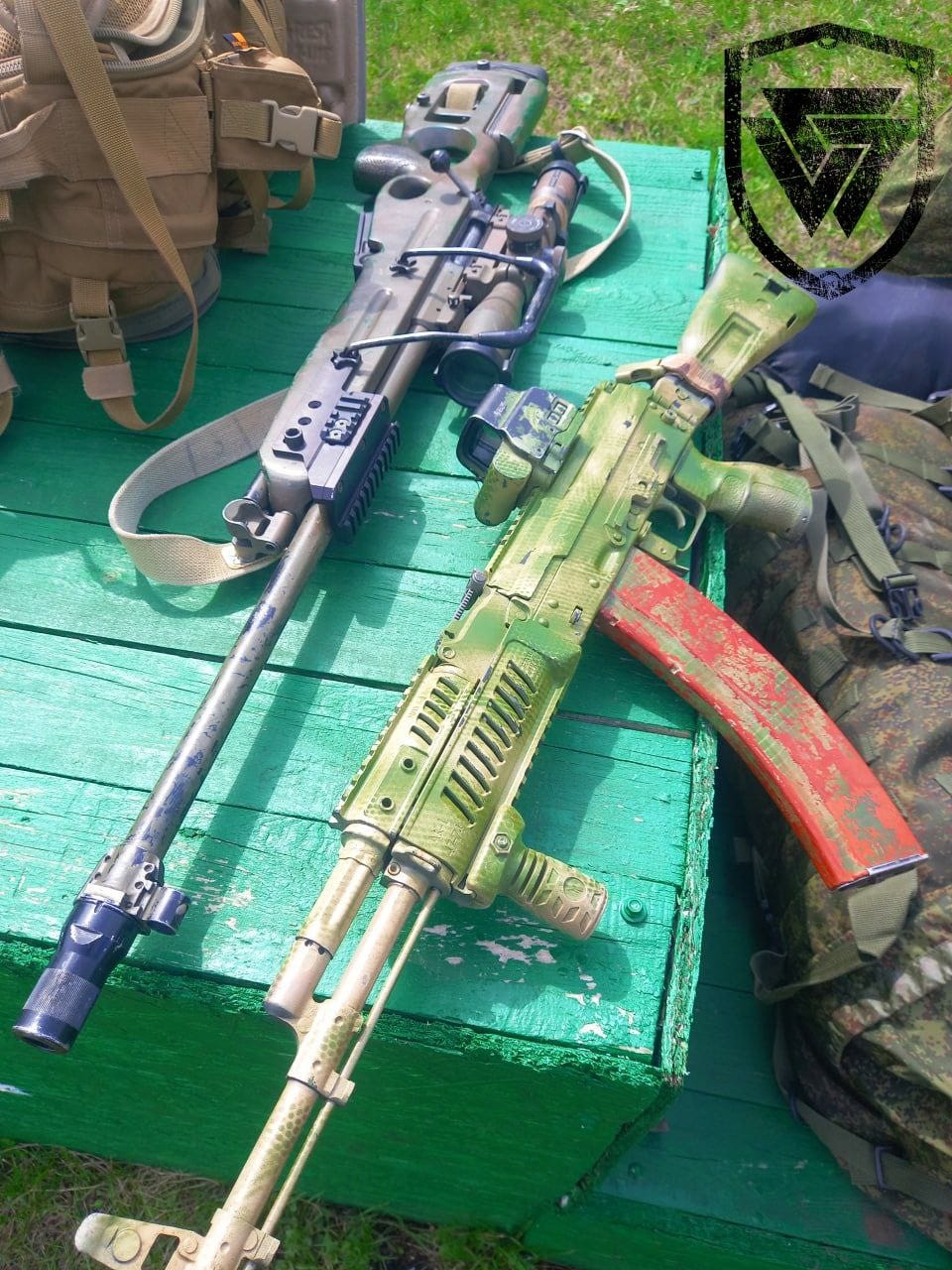 Operations and Weapons Profile of Russia's Controversial Rusich ...