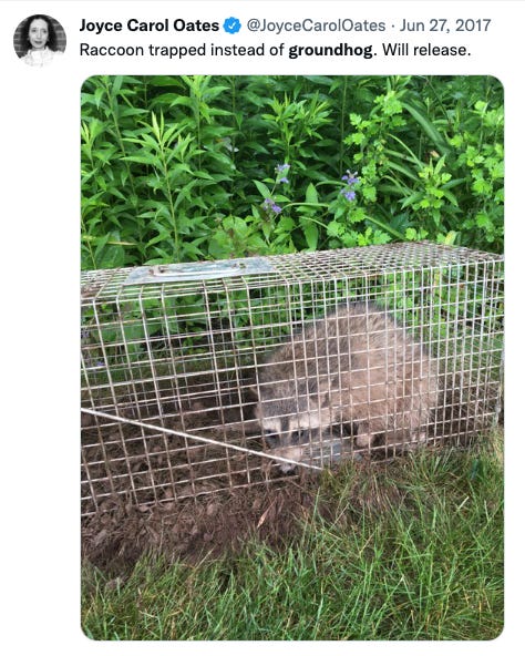 SHuSH, by Kenneth Whyte | ken whyte | Substack