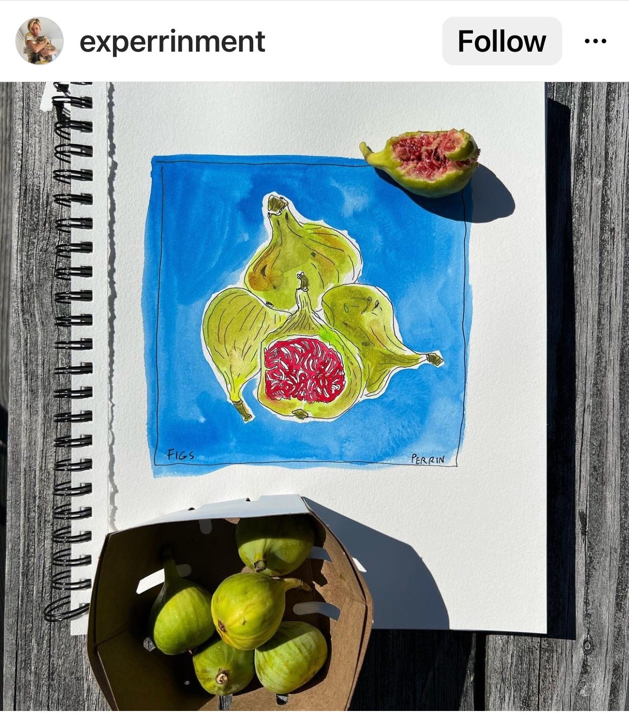 Some of Our Delight Drawings, Day 1-4