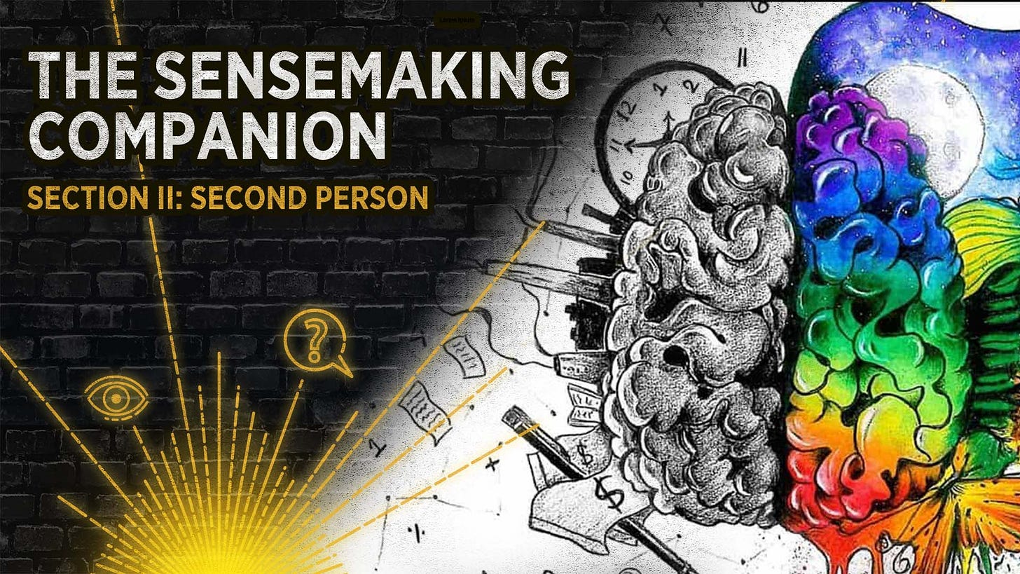 The Sensemaking Companion: Section II - by Alexander Beiner
