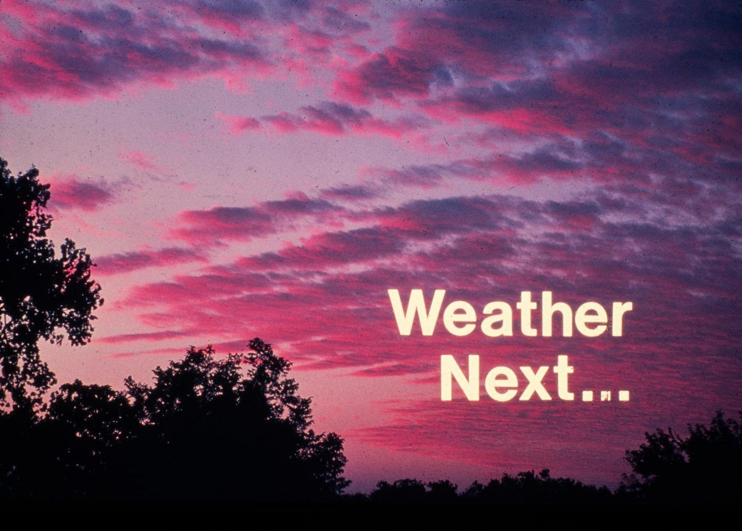 The Great Displacement: Jake Bittle - franknews