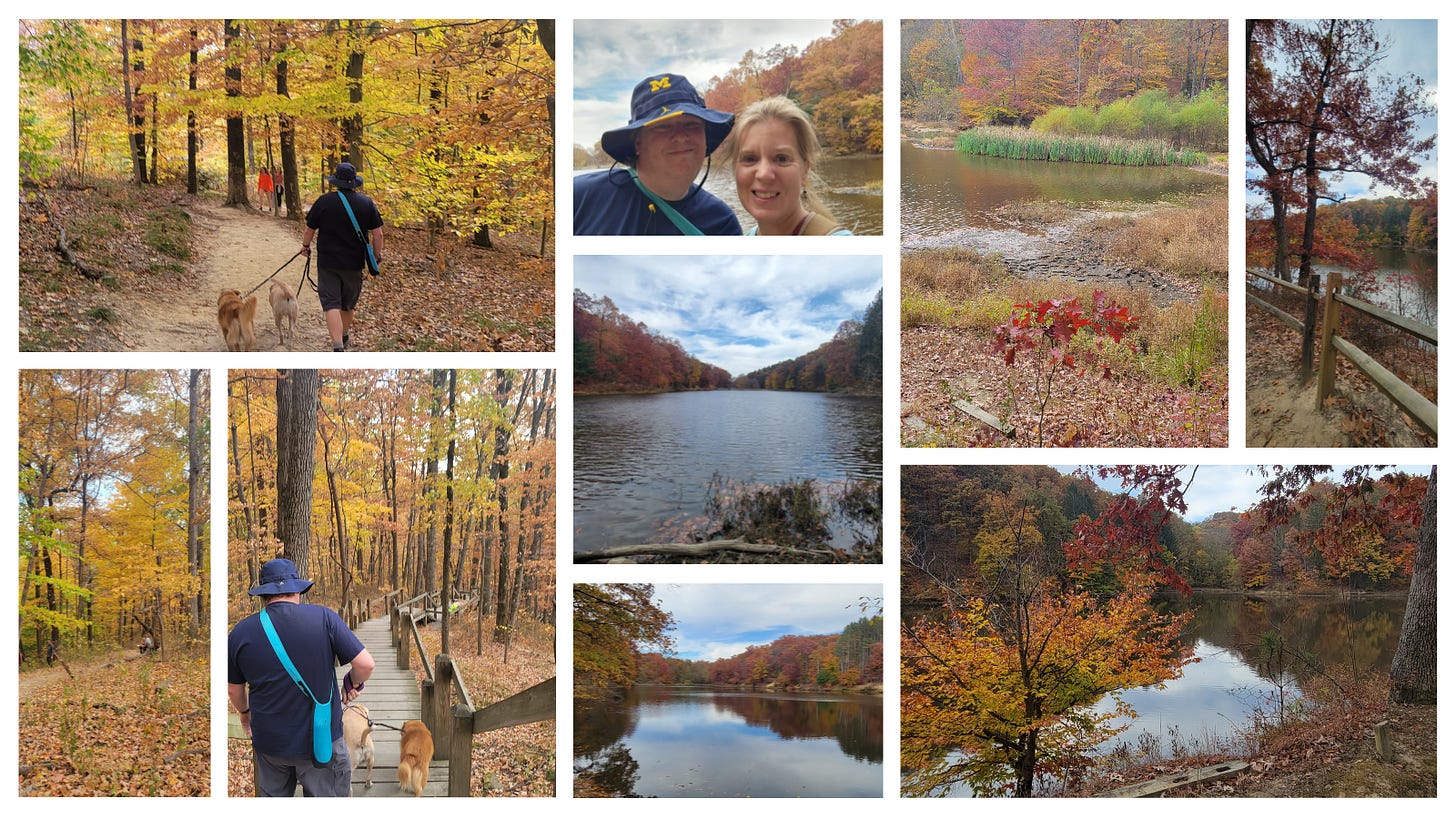 Fall in Brown County State Park - by Sarah Styf