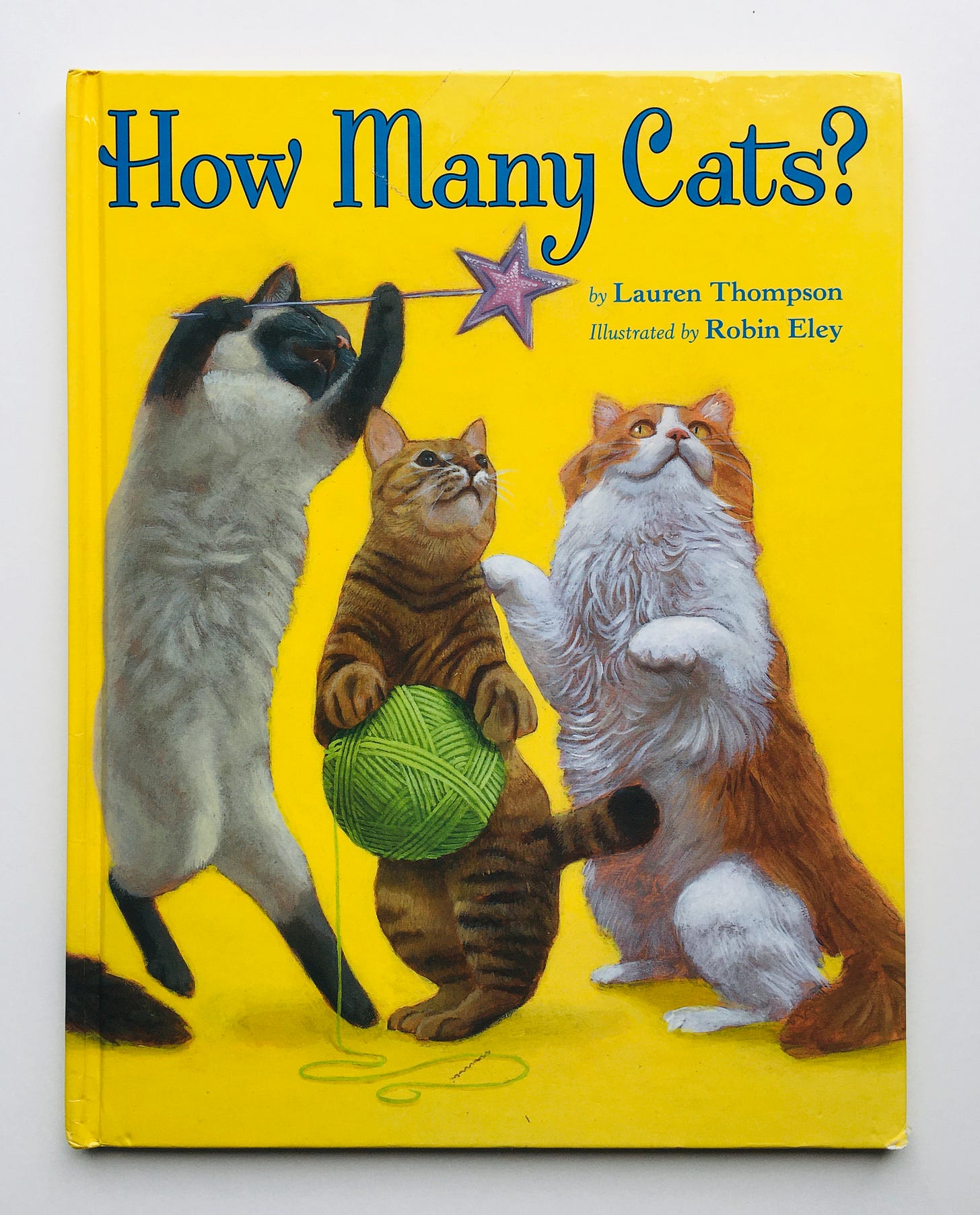 Spotlight On: Counting Books - by Sarah Miller