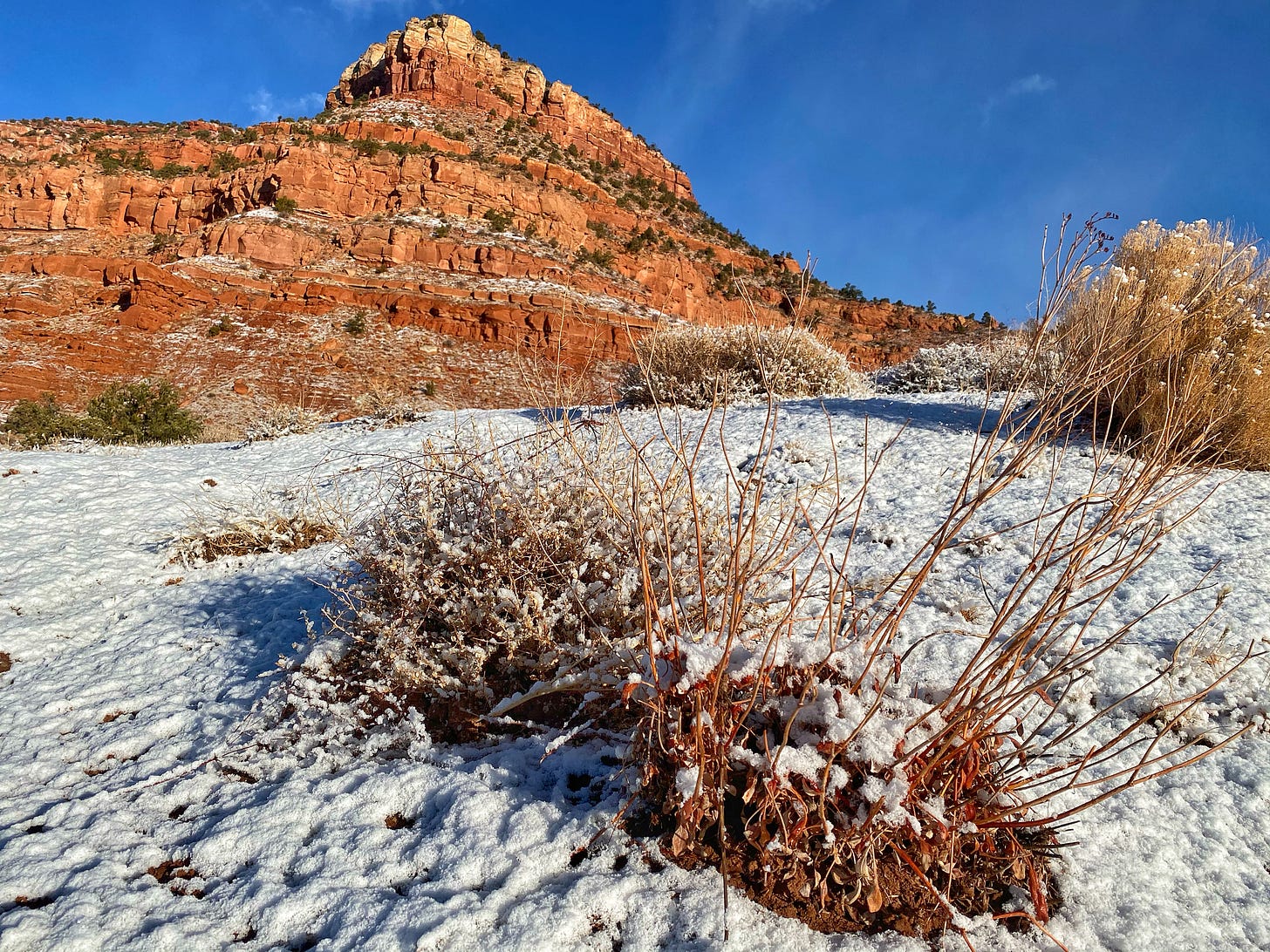 Desert Snow - Tom Ryan, Author