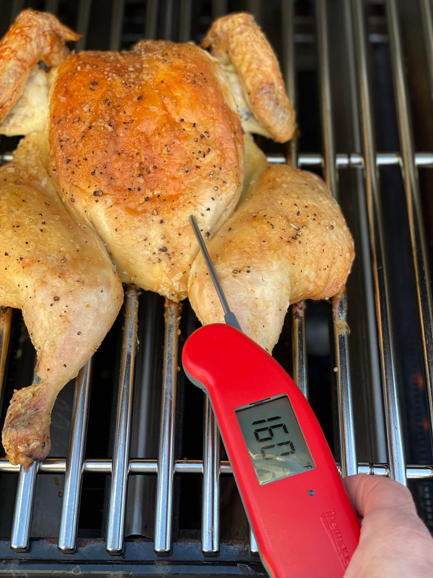 SPRING CHICKEN DINNERS