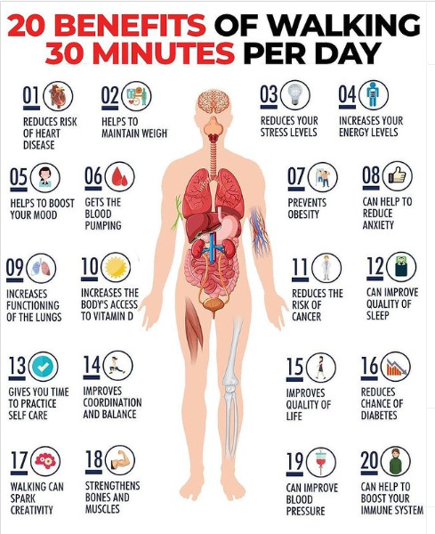 Benefits of Walking 30 Minutes Per Day - by Chance Finucane