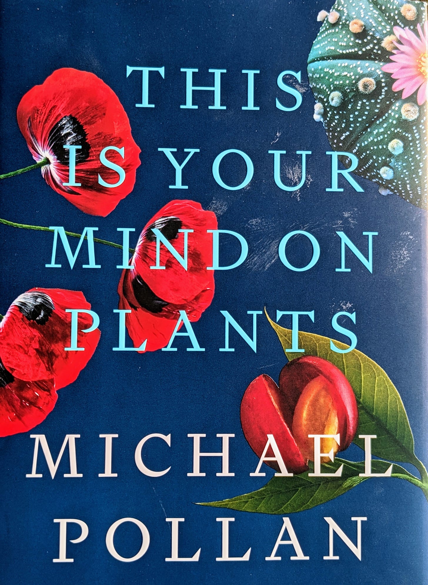 v8well Book Club: This is your mind on plants