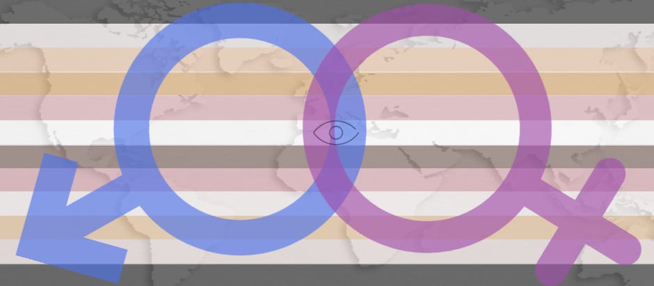 The Heterosexual Pride (HsP) Flag - The Conservator