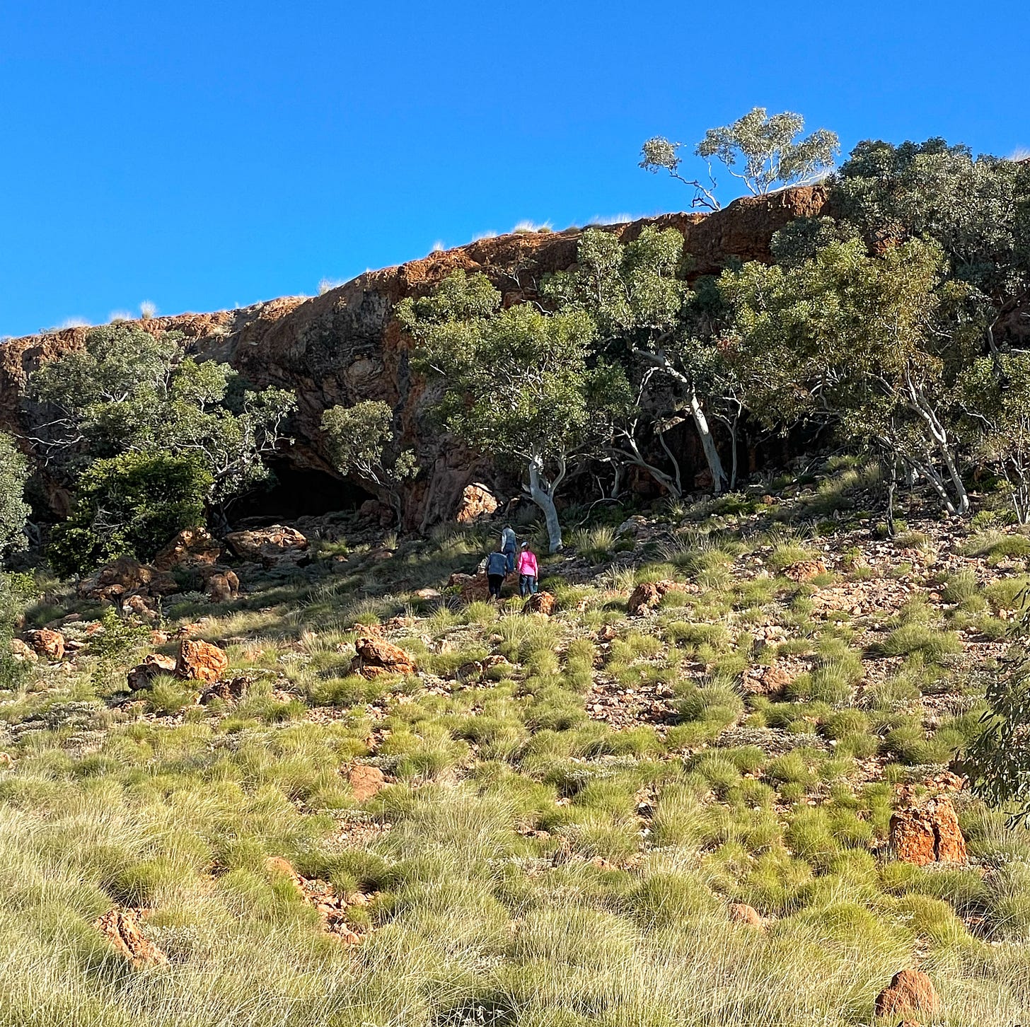 The Sit Spot | Maggie Mackellar | Substack
