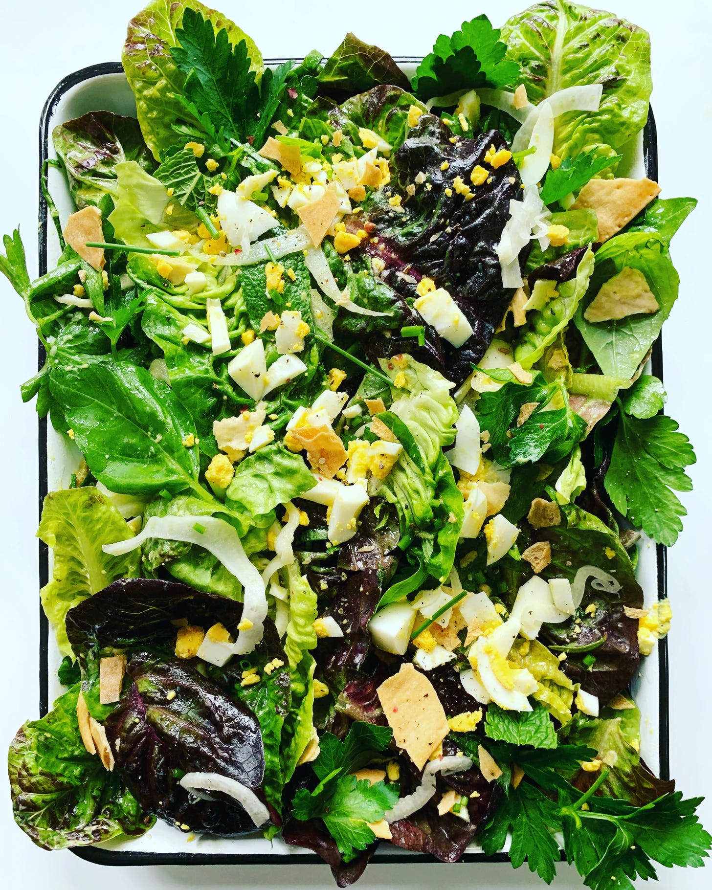 The Department of Salad Is Growing! - by emily nunn