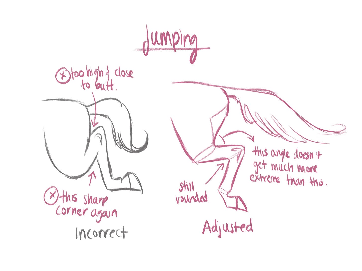 Horse Drawing Notes - Alexandria Neonakis' Sketchbook