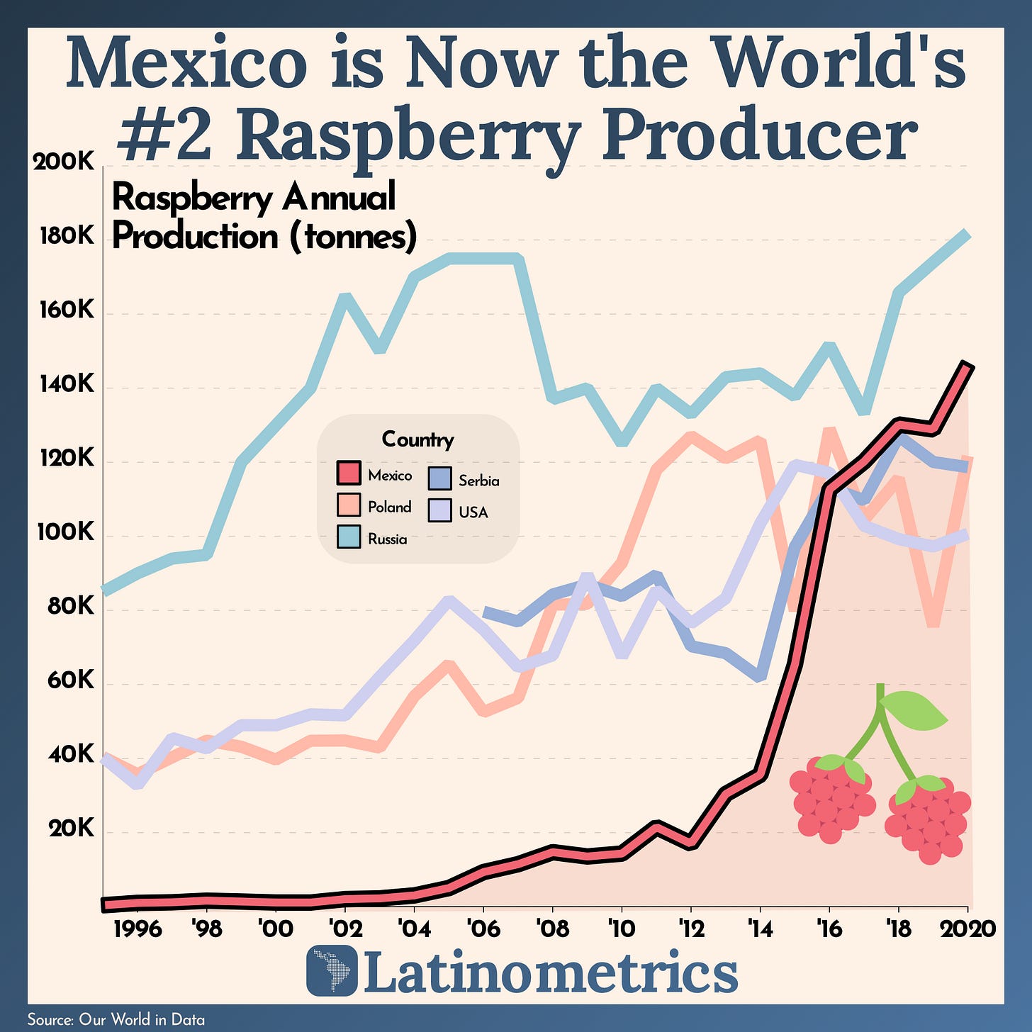 Wildcats & Black Sheep Mexico's Sweet Success With Raspberry Production ...