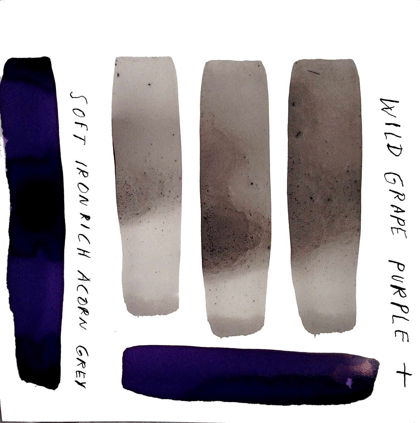 acorns! - by Toronto Ink Company