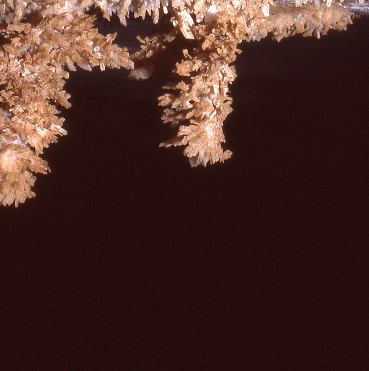 Lost to the Ages - Ozark Hollow