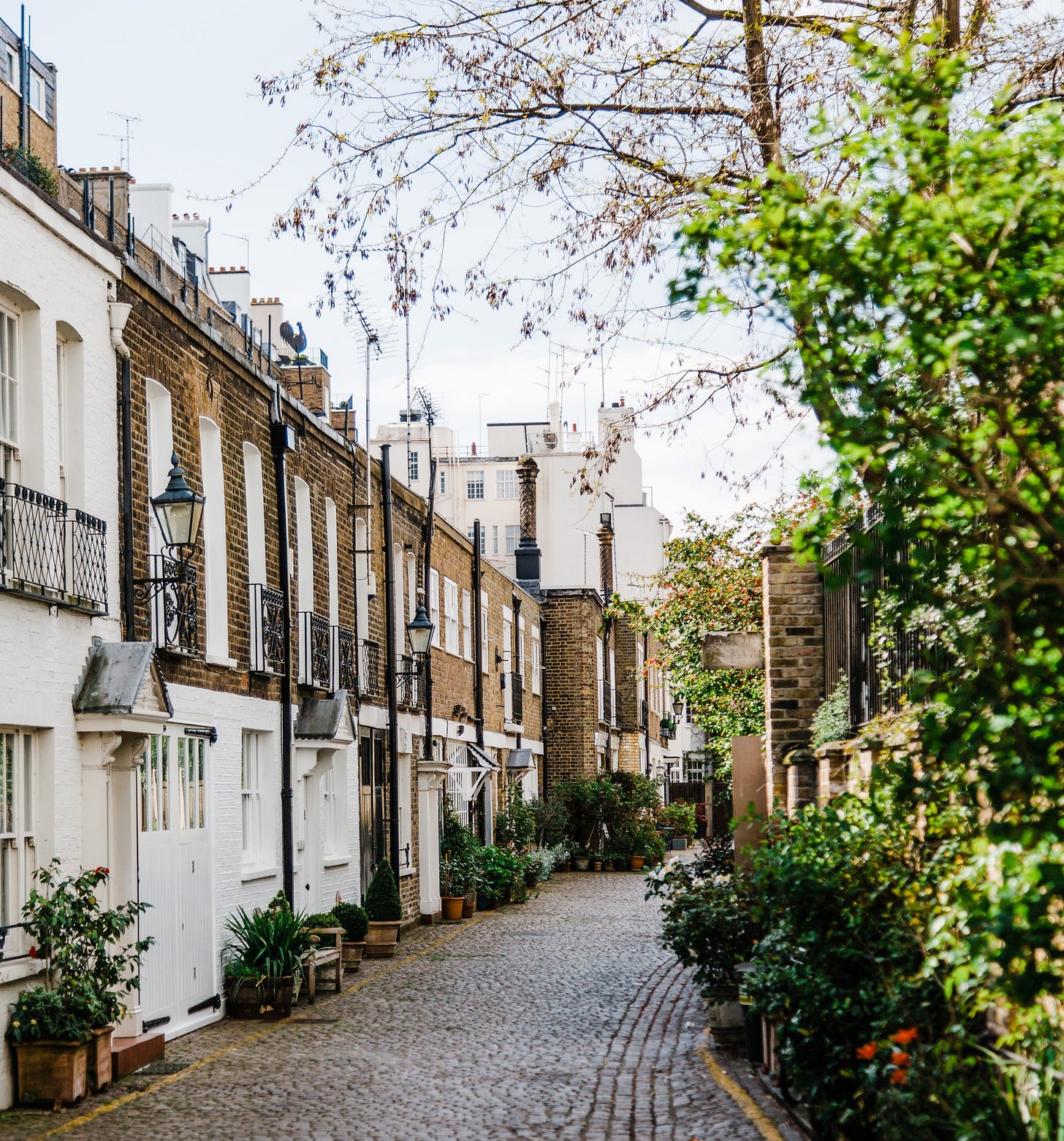 The importance of alienability - by Sam Bowman