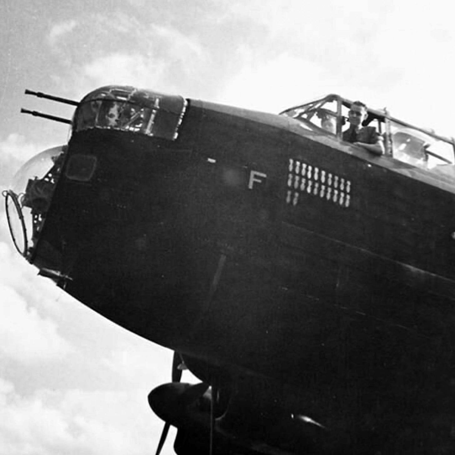 '380 acres of complete devastation' - by Martin Cherrett