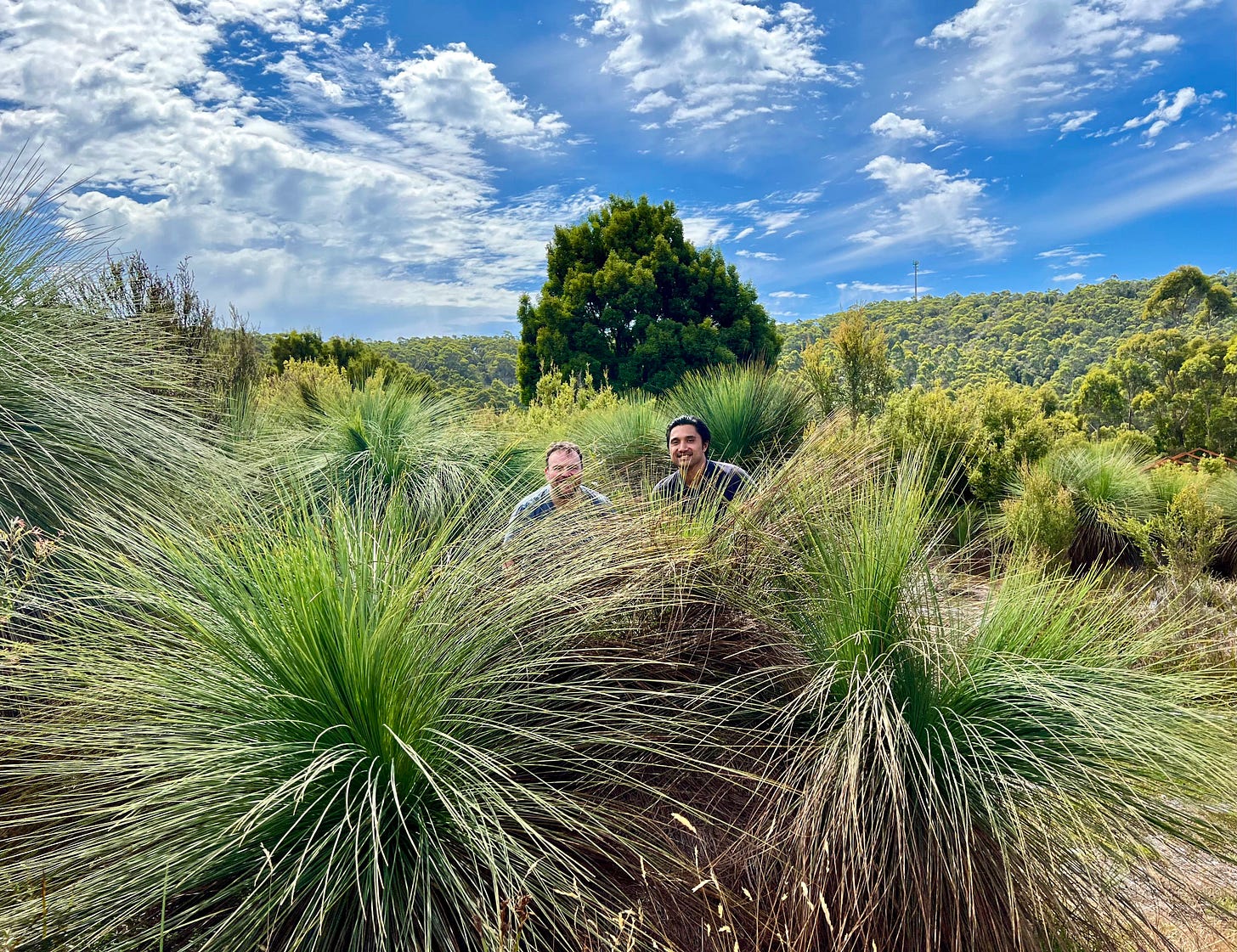 Unmade - media & marketing through an Aussie lens | Tim Burrowes | Substack