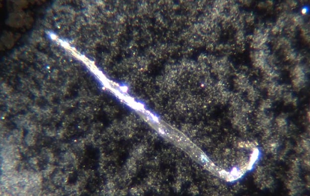 New Images of Self-Assembly Structures in Pfizer Vials and Live Blood ...