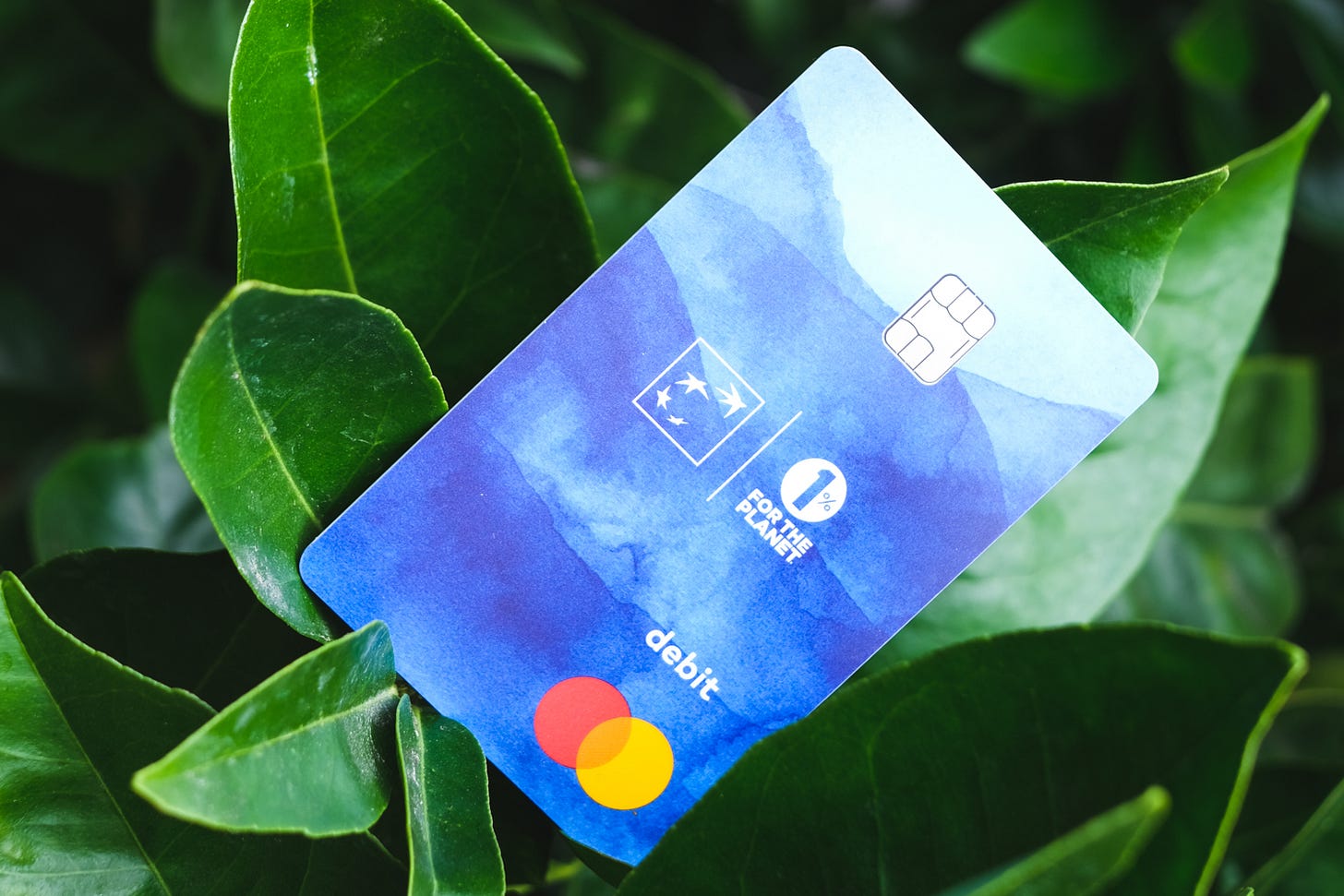 Banks I use, the first account designed for climate action, Exploring ...