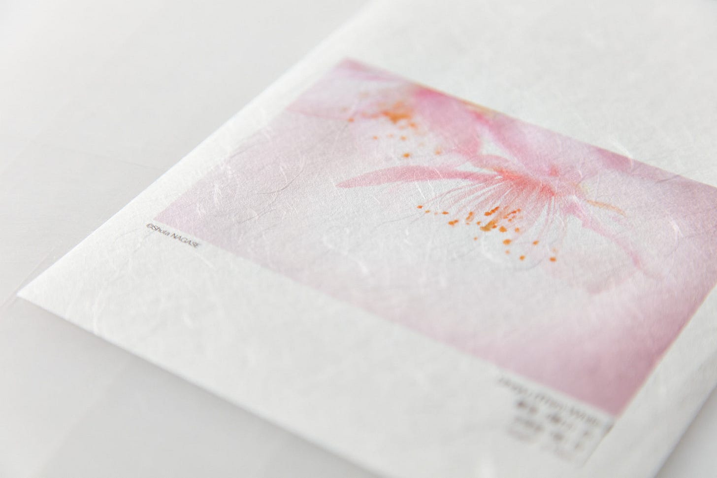 What Is Awagami? - Paper Arts Collective Newsletter